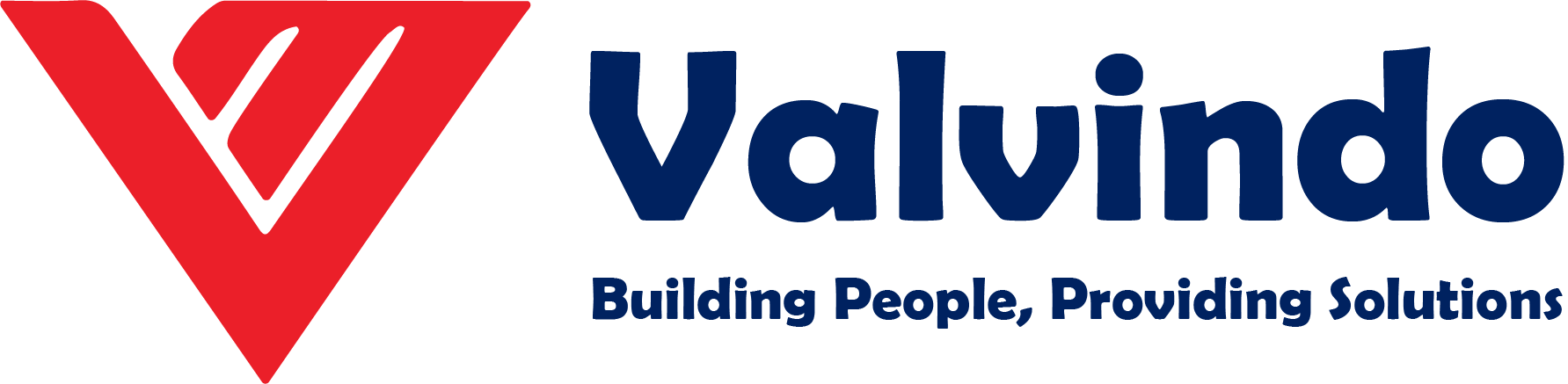 Home | Valvindo Megah